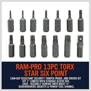 HORUSDY 14-Piece Tamper Resistant Star Bits, S2 Alloy Steel, T5 - T40 Security Torx Bit Set. (14-Piece Torx Bit Set)