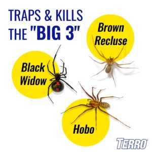 TERRO T3206SR Non-Toxic Indoor Spider, Ant, Cockroach, Centipede, and Crawling Insect Trap - 12 Traps