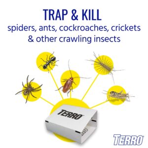 TERRO T3206SR Non-Toxic Indoor Spider, Ant, Cockroach, Centipede, and Crawling Insect Trap - 12 Traps