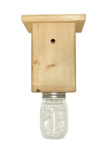 original b brothers-carpenter bee trap