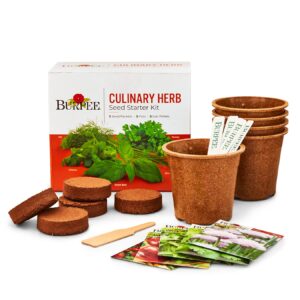 Burpee Culinary Garden Starter Kit Packets, 5 Pots, 5 Coir Pellets & 5 Plant Markers Non-GMO Herb Seeds: Cilantro, Dill, Parsley, Sweet Basil & Chives