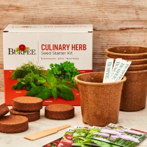 Burpee Culinary Garden Starter Kit Packets, 5 Pots, 5 Coir Pellets & 5 Plant Markers Non-GMO Herb Seeds: Cilantro, Dill, Parsley, Sweet Basil & Chives