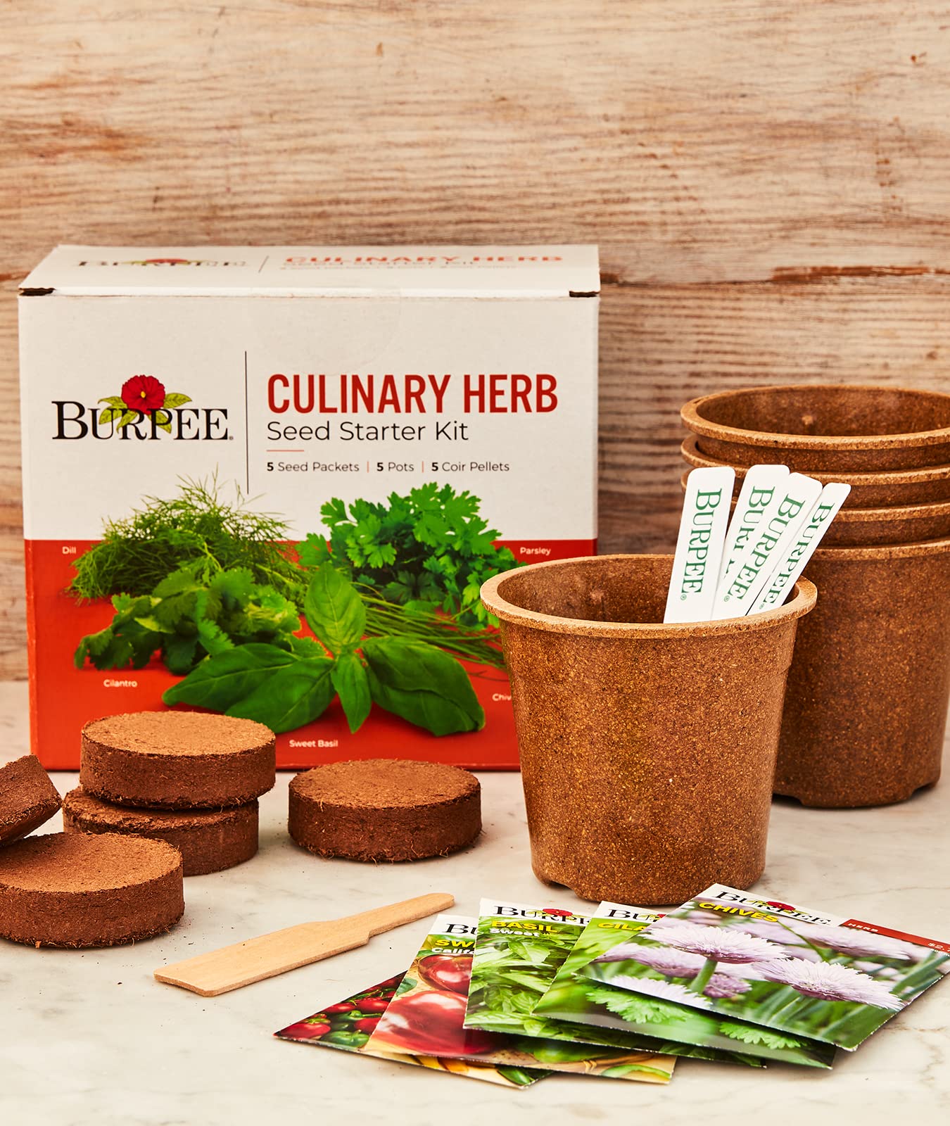 Burpee Culinary Garden Starter Kit Packets, 5 Pots, 5 Coir Pellets & 5 Plant Markers Non-GMO Herb Seeds: Cilantro, Dill, Parsley, Sweet Basil & Chives