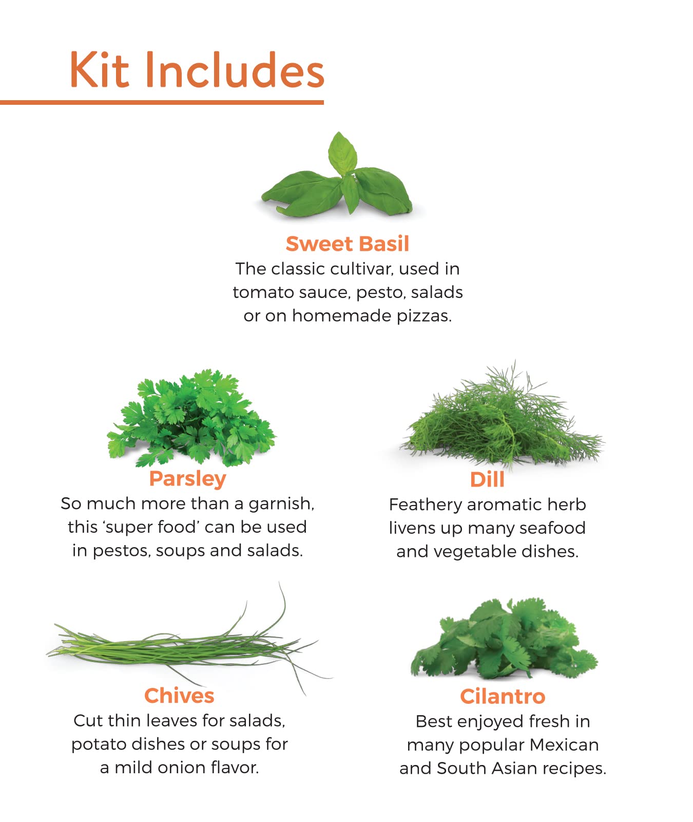 Burpee Culinary Garden Starter Kit Packets, 5 Pots, 5 Coir Pellets & 5 Plant Markers Non-GMO Herb Seeds: Cilantro, Dill, Parsley, Sweet Basil & Chives