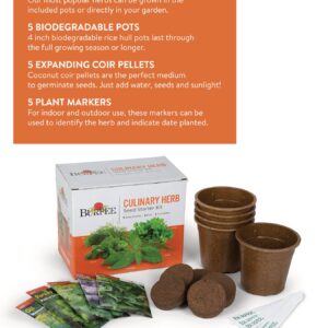 Burpee Culinary Garden Starter Kit Packets, 5 Pots, 5 Coir Pellets & 5 Plant Markers Non-GMO Herb Seeds: Cilantro, Dill, Parsley, Sweet Basil & Chives