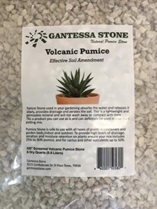 gardening pumice soil amendment | 3/8" screened | 8 quarts