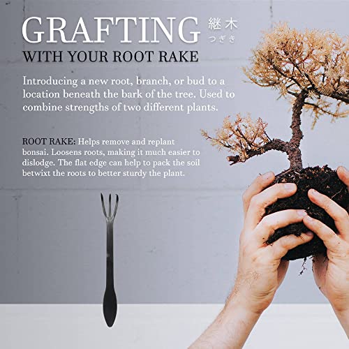 BambooMN Bonsai Root Rake Tool - 1 Piece