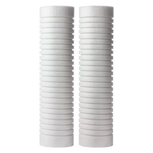 ao smith 2.5"x10" 5 micron sediment water filter replacement cartridge - 2 pack - for whole house filtration systems - ao-wh-prev-r2