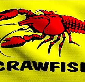 DMSE Restaurant Crawfish for Sale Craw Fish Yellow Red Flag 3X5 Ft Foot 100% Polyester 100D Flag UV Resistant (3'X5' Ft Foot) (3'X5' Ft Foot)