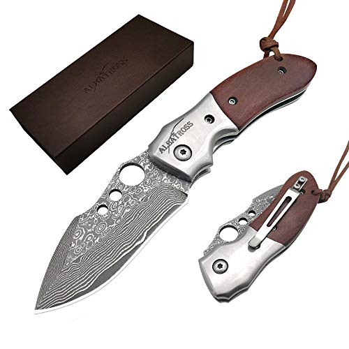 ALBATROSS Pocket Knife Cote D'Ivoire Sandalwood 6.22" Damascus Steel Knife Liner Lock Folding Knife - HGDK007