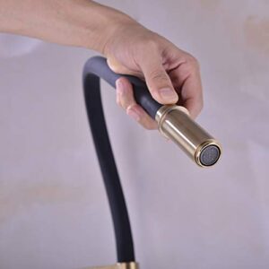 WENKEN Brushed Gold Kitchen Sink Faucet with Pull Down Spray, Solid Brass Kitchen Faucet, Gold and Black Kitchen Faucet