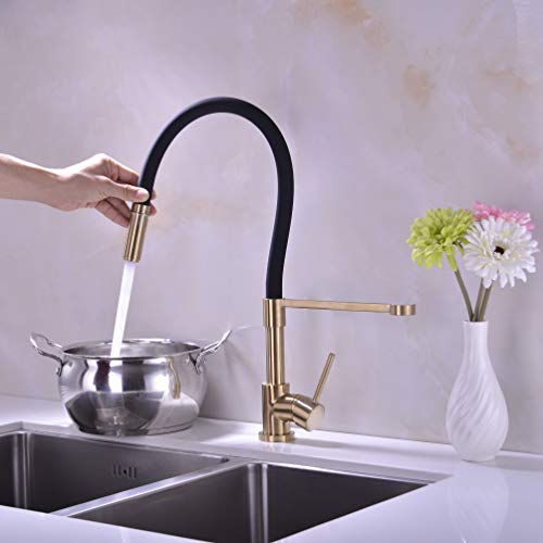 WENKEN Brushed Gold Kitchen Sink Faucet with Pull Down Spray, Solid Brass Kitchen Faucet, Gold and Black Kitchen Faucet