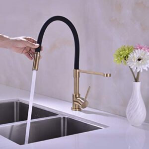 WENKEN Brushed Gold Kitchen Sink Faucet with Pull Down Spray, Solid Brass Kitchen Faucet, Gold and Black Kitchen Faucet