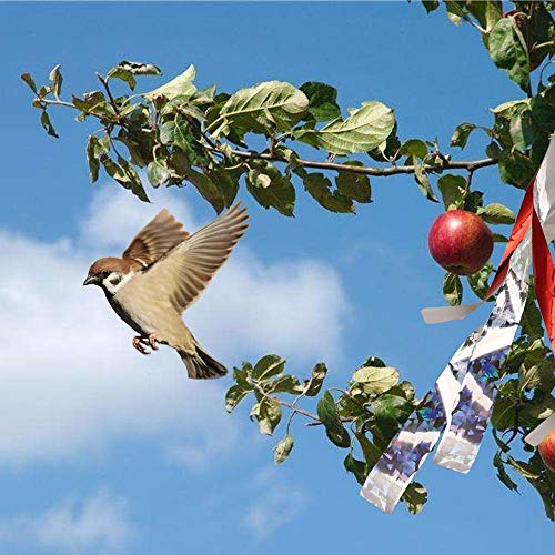 HICI PCO Bird Repellent Scare Tape Scare Ribbon Silver 500 FT Bird Deterrent Reflective Tape for Birds Effective for Woodpeckers Pigeons Grackles 500FTx1