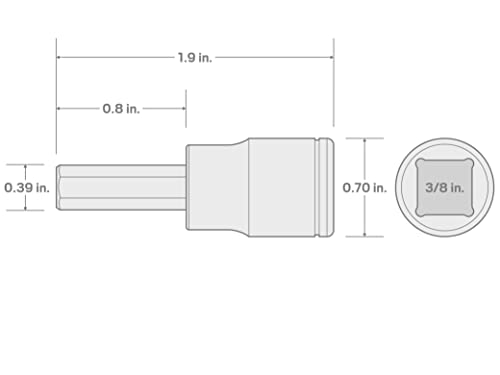 TEKTON 3/8 Inch Drive x 10 mm Hex Bit Socket | SHB13210