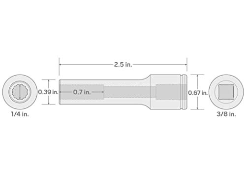 TEKTON 3/8 Inch Drive x 1/4 Inch Deep 12-Point Socket | SHD13206