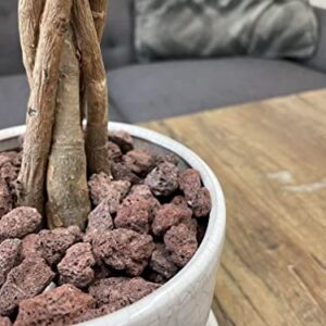 KAYSO INC Lava Rocks - Decorative Landscaping Rocks or Gas Fire Pits Rocks, 3/4" (.75") (10 Lbs, Red Lava Rock)