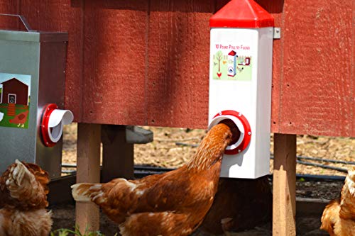 RentACoop 10lb High Rise BPA-Free Single-Port Chicken Feeder - Includes Anti-Roost Lid, Rain Hood, and Mounting Hardware - Suitable for 12 Week or Older Chickens, Adult Chickens, and Poultry