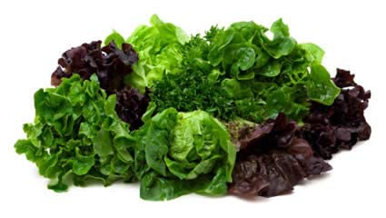 1000+ Lettuce Mix Seeds Please Read! This is A Mix!!! 20 Varieties Seeds Heirloom Non-GMO. Seeds are not Individually Packaged!