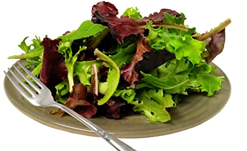 1000+ Lettuce Mix Seeds Please Read! This is A Mix!!! 20 Varieties Seeds Heirloom Non-GMO. Seeds are not Individually Packaged!