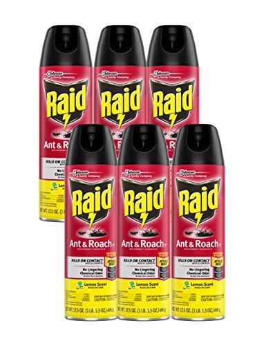 Raid Ant & Roach Killer Lemon Scent 17.5 Ounce (Pack of 6)