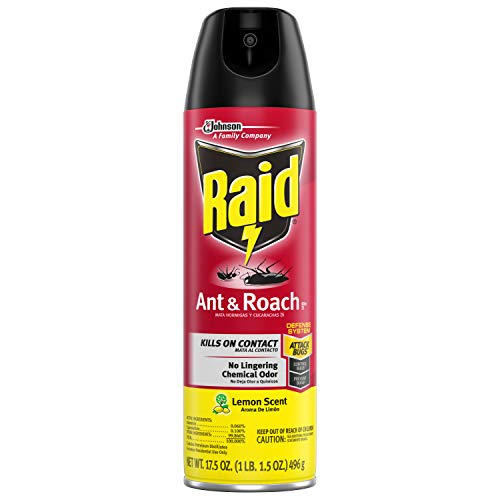 Raid Ant & Roach Killer Lemon Scent 17.5 Ounce (Pack of 6)