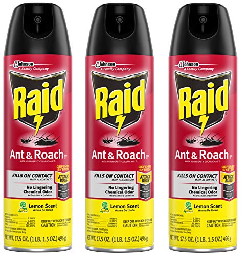 Raid Ant & Roach Killer Lemon Scent 1.09 Pound (Pack of 3)