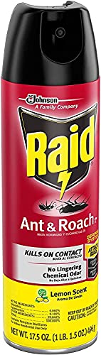 Raid Ant & Roach Killer Lemon Scent 1.09 Pound (Pack of 3)