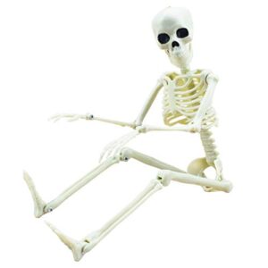 xonor 16” posable halloween skeleton- full body halloween skeleton with movable joints for haunted house props decorations (1pc)