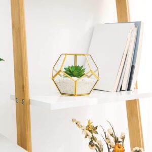 Mkono 4 Inches Mini Glass Geometric Terrarium Container Set of 3 Modern Tabletop Planter Shelves Decor Display Centerpiece for Succulent Miniature Fairy Garden Air Plant, Gold (Plant Not Included)