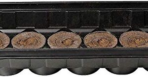 Jiffy J410 42mm Windowsill Greenhouse 10 (Pack of 3)