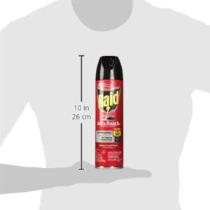 Raid Ant & Roach Killer Outdoor Fresh, 17.5 OZ (Pack - 6)