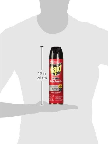 Raid Ant & Roach Killer Outdoor Fresh, 17.5 OZ (Pack - 6)