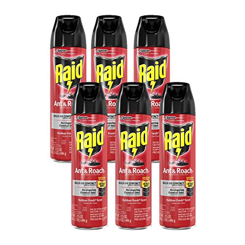 Raid Ant & Roach Killer Outdoor Fresh, 17.5 OZ (Pack - 6)