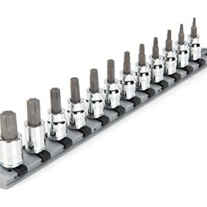 TEKTON 3/8 Inch Drive Torx Bit Socket Set, 12-Piece (T10-T60) | SHB91103