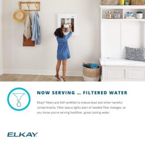 Elkay LBWD06WHK ezH2O Liv Built-in Filtered Water Dispenser, Remote Chiller, Aspen White