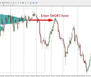 Volume Profile Forex Indicator for MT4 - Pro Forex Trading Software