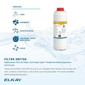 Elkay ERF750 WaterSentry Plus Residential Replacement Filter, White, 1 Count (Pack of 1)