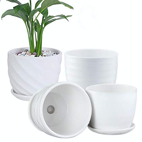 sietpoek Plant Pots - 4.7 Inch Cylinder Ceramic Planters with Connected Saucer, Pots for Succuelnt and Little Snake Plants, Set of 4, White