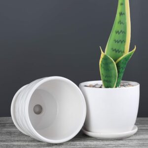 sietpoek Plant Pots - 4.7 Inch Cylinder Ceramic Planters with Connected Saucer, Pots for Succuelnt and Little Snake Plants, Set of 4, White