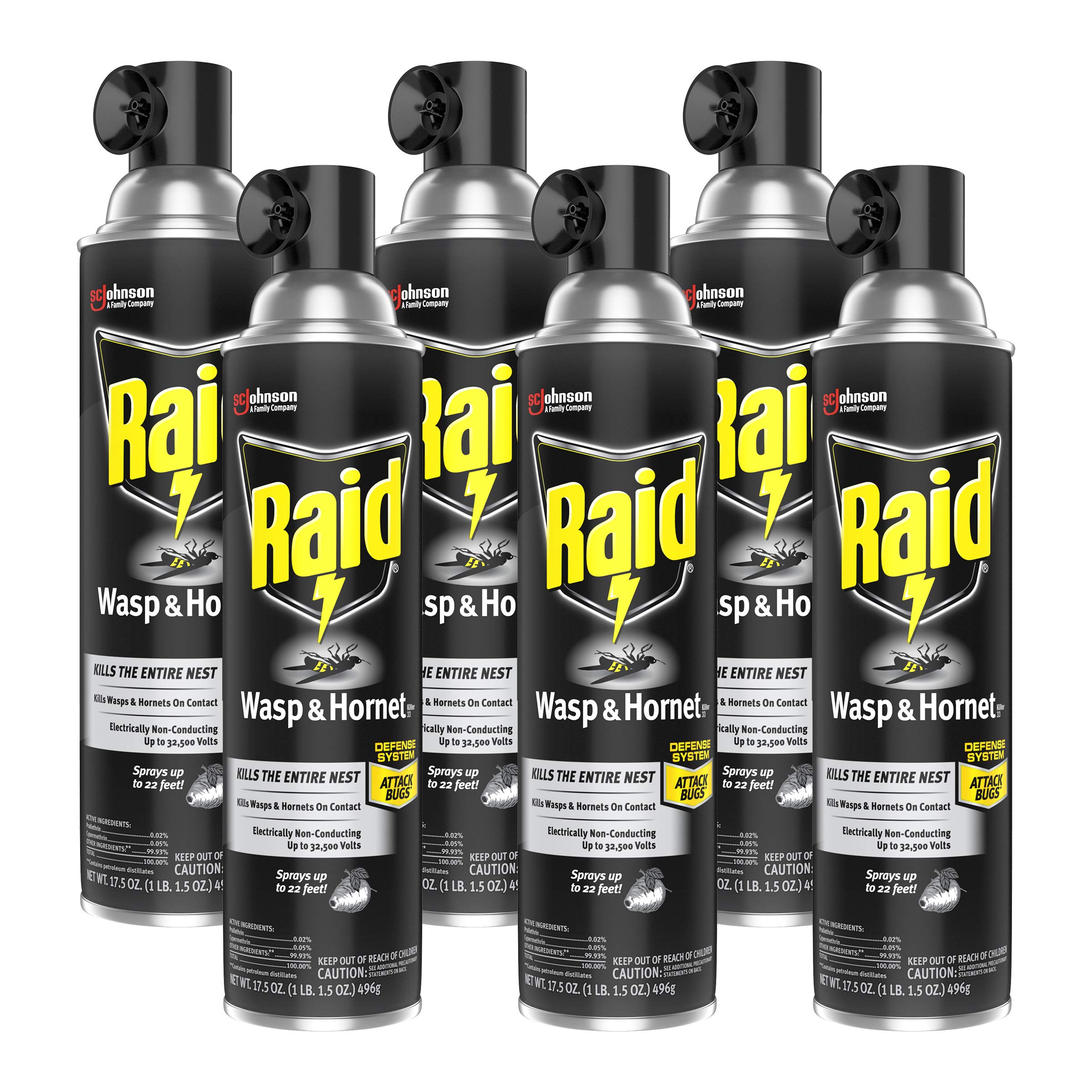 Raid Wasp and Hornet Killer, 17.5-Ounce (Pack - 6)