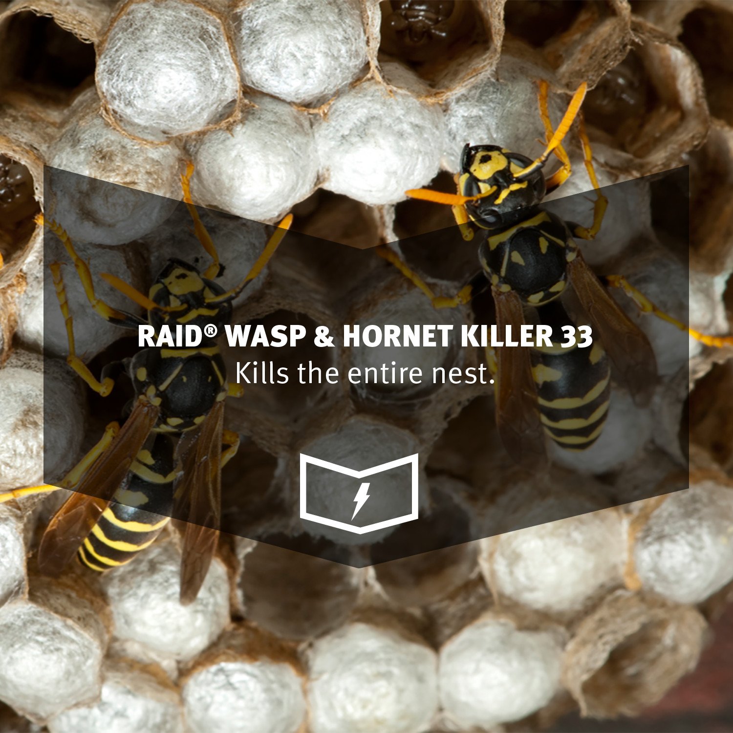 Raid Wasp and Hornet Killer, 17.5-Ounce (Pack - 6)