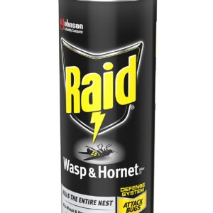 Raid Wasp and Hornet Killer, 17.5-Ounce (Pack - 6)