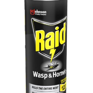 Raid Wasp and Hornet Killer, 17.5-Ounce (Pack - 6)