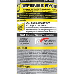 Raid Wasp and Hornet Killer, 17.5-Ounce (Pack - 6)