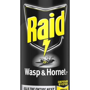 Raid Wasp and Hornet Killer, 17.5-Ounce (Pack - 6)