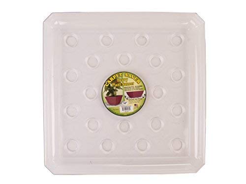 CWP SQDS-1400 Heavy Gauge Footed Square Carpet Saver Saucer, 14-Inch by 14-Inch, Clear (Pack of 2)