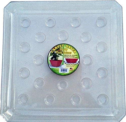 CWP SQDS-1400 Heavy Gauge Footed Square Carpet Saver Saucer, 14-Inch by 14-Inch, Clear (Pack of 2)