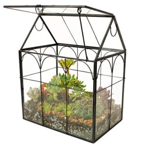 elegantlife glass geometric plant terrarium,succulent & air planter for home garden office decoration (black house)