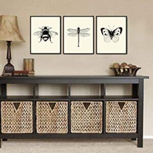 Bee Dragonfly Butterfly Wall Art Prints set of 3 Prints 8x10 - Unframed - Beautiful Black and White Illustration Ivory Natural Background Home Room Decor